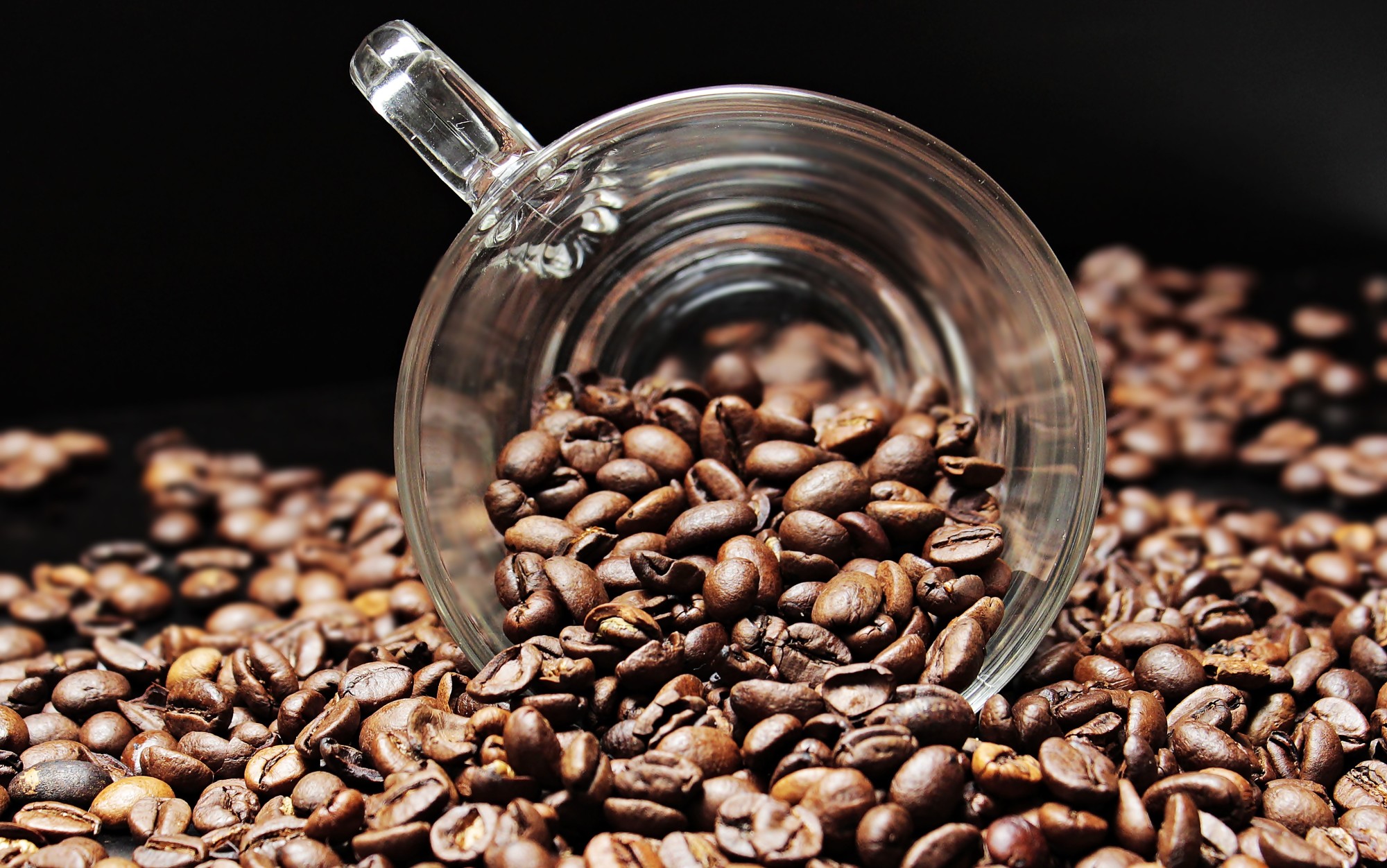 Coffee From Kenya: 7 Major Facts You Should Know About Kenyan Coffee ...