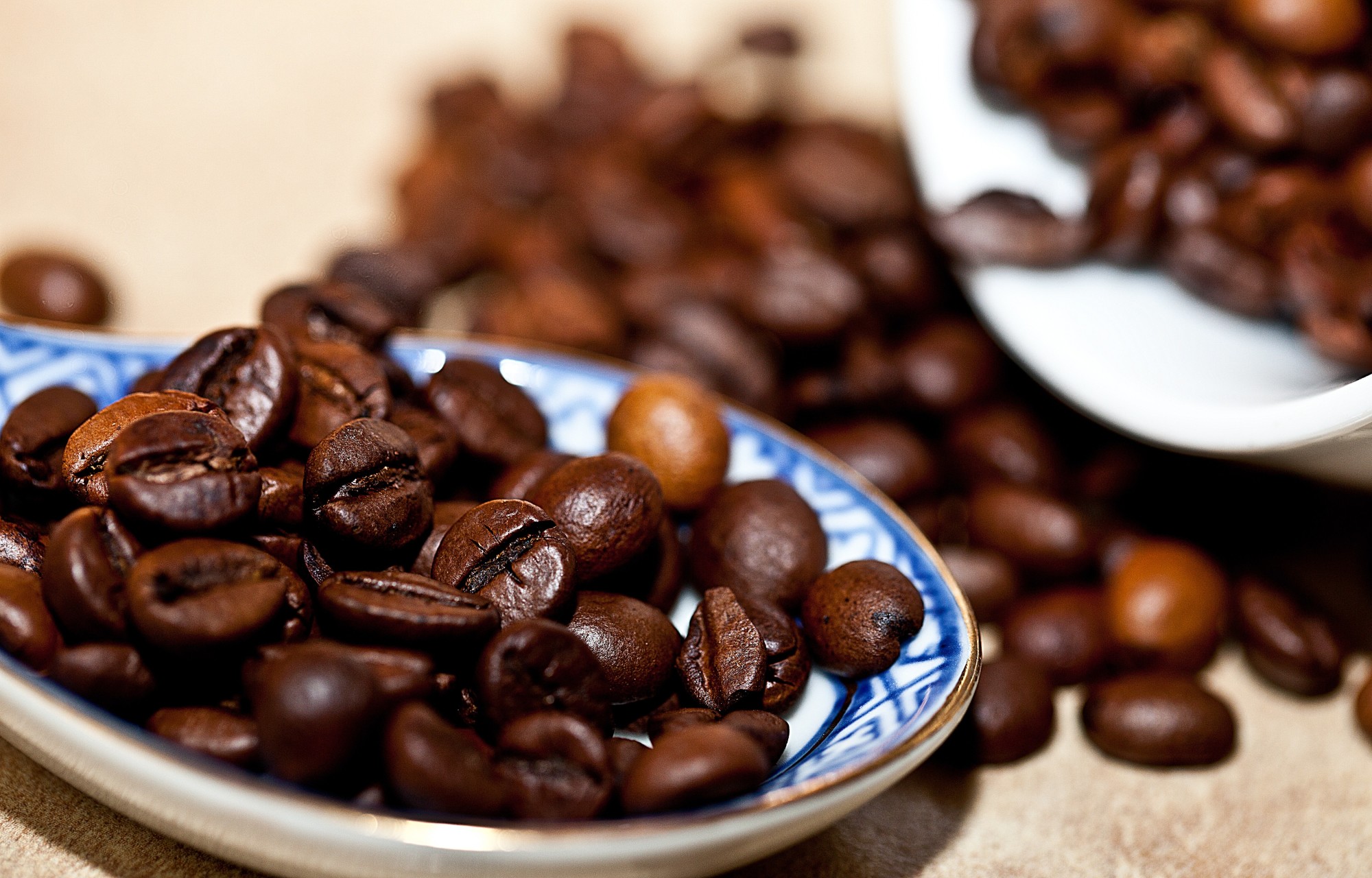 Arabica Coffee Organic Arabica Coffee Beans | Medium Dark Roast