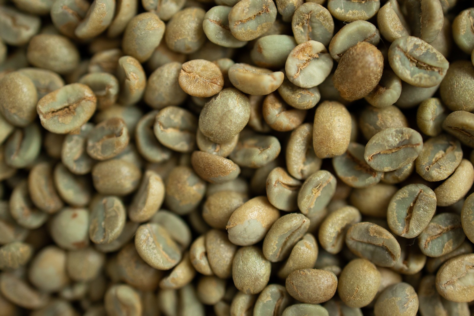 Buy Premium Specialty Coffee Beans Direct - Green Coffee Beans ...