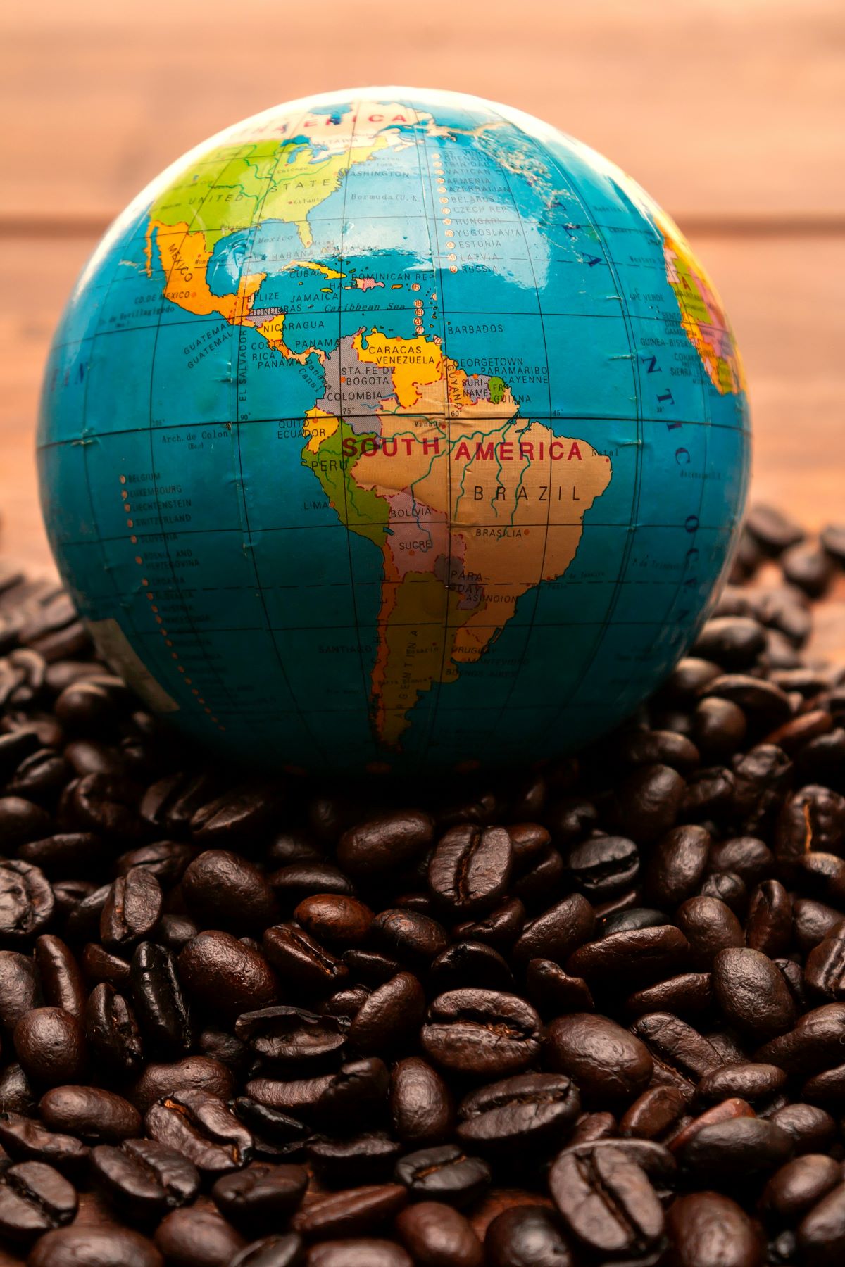 Buy Premium Specialty Coffee Beans Direct - Green Coffee Beans ...